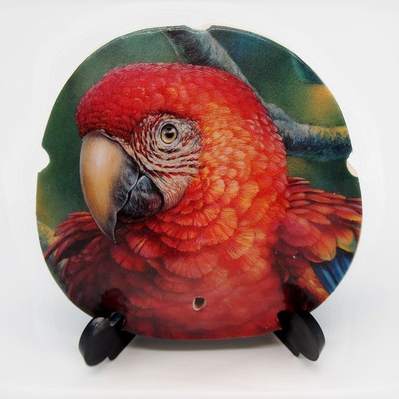 Accents | Vintage Scarlet Macaw Parrot Real Sand Dollar With Stand ...